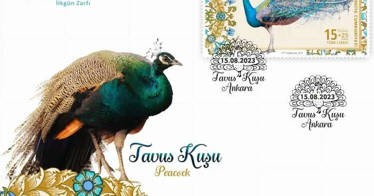 PTT'den 'tavus kuşu' - Bolge.com.tr