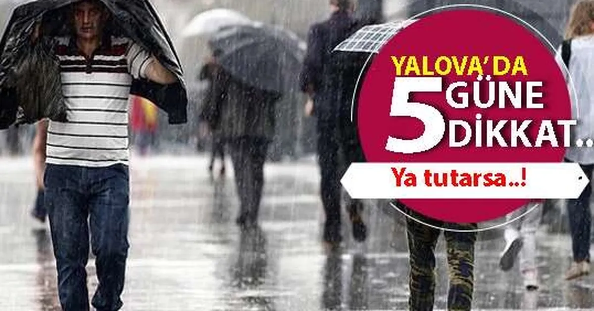 Siz yine de tedbirli olun - Bolge.com.tr